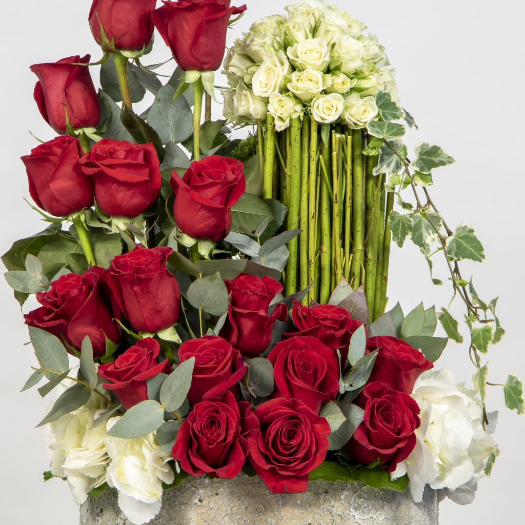 Valencia arrangement of red roses in Qatar | Plaza Hollandi